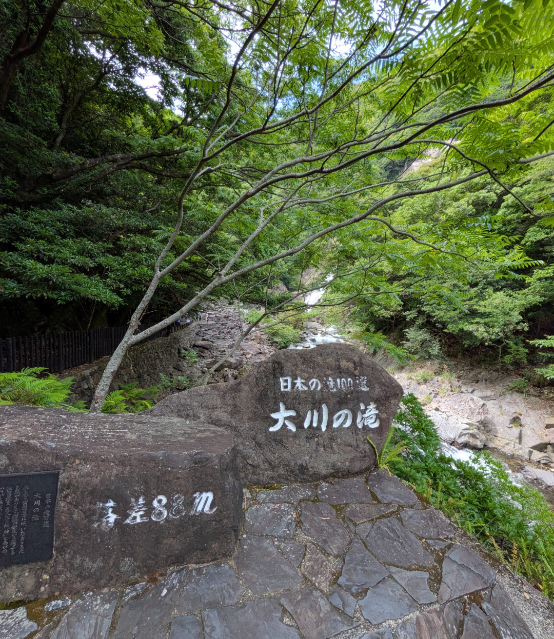 旅が終わった | 腹黒あゆき（ ・ g・）
